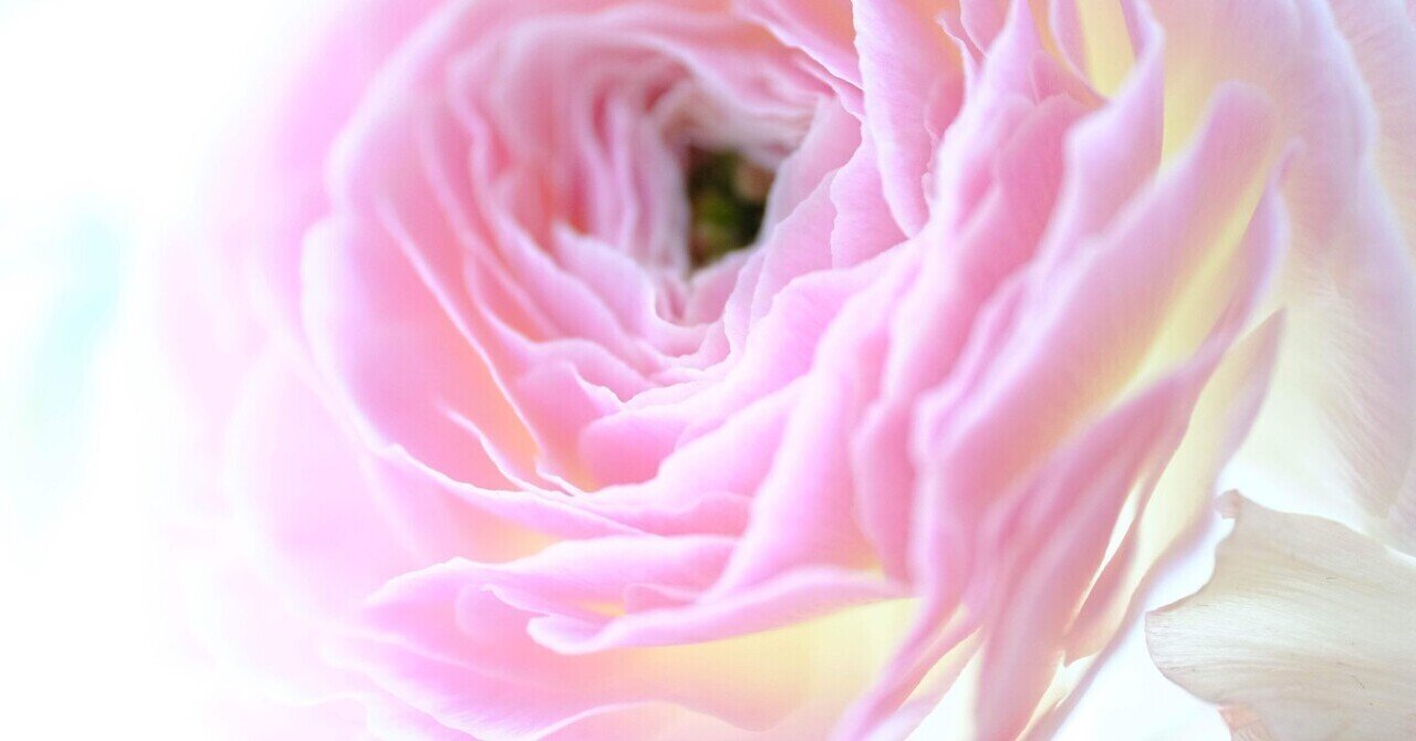 あなたを、見守っています。。・。・｜Cosmic Suzu