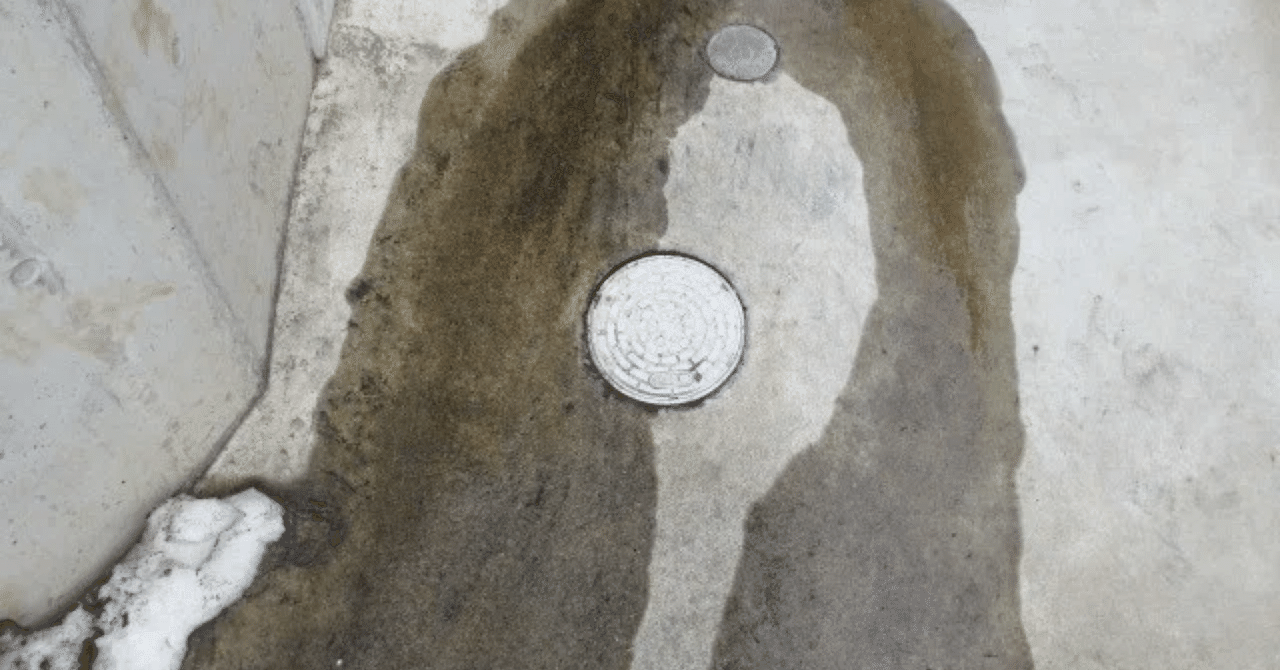 ぽちょん｜Imatomi Aiko