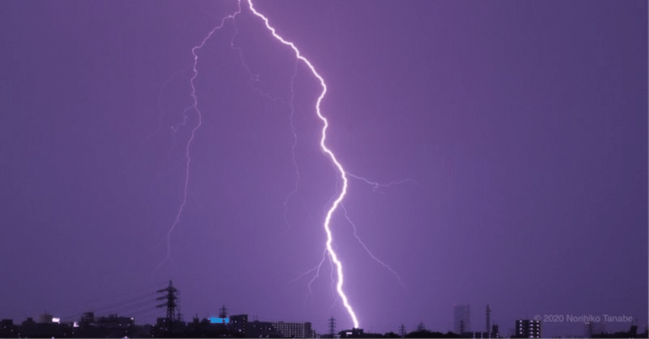 盆休み六日目 日記｜suzu_yama