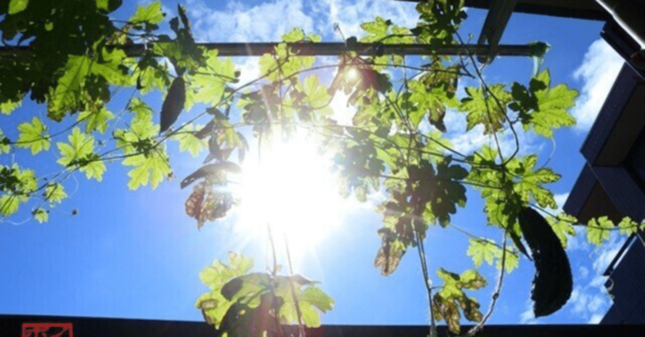 雪月 | Yuzuki｜note