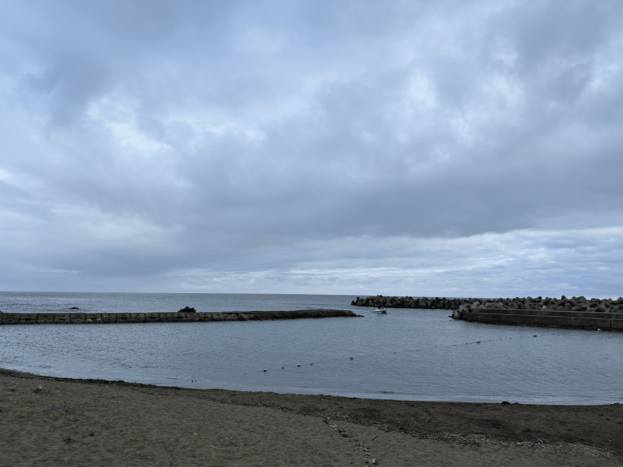 水鳥葛（mizudori kuzu）｜note