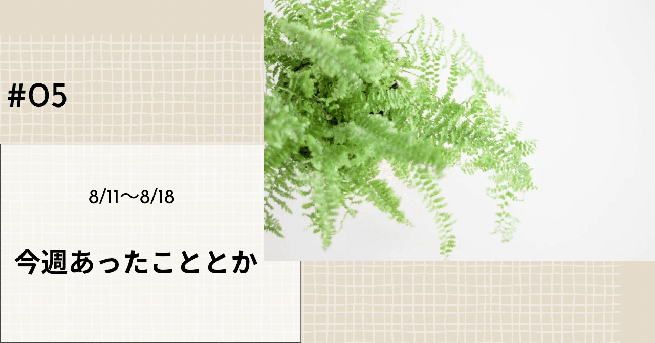 今週あったこととか（8/11〜8/17）｜高校生の視点 stu_rsk