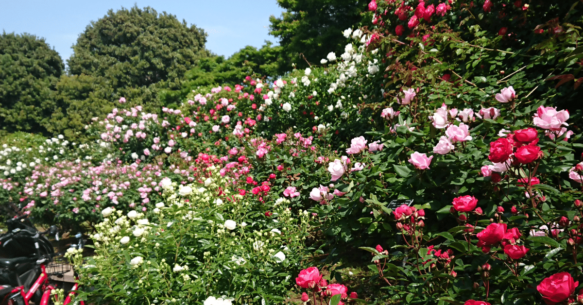 Manjaro Linux hddにinstall no2｜blue06_2022