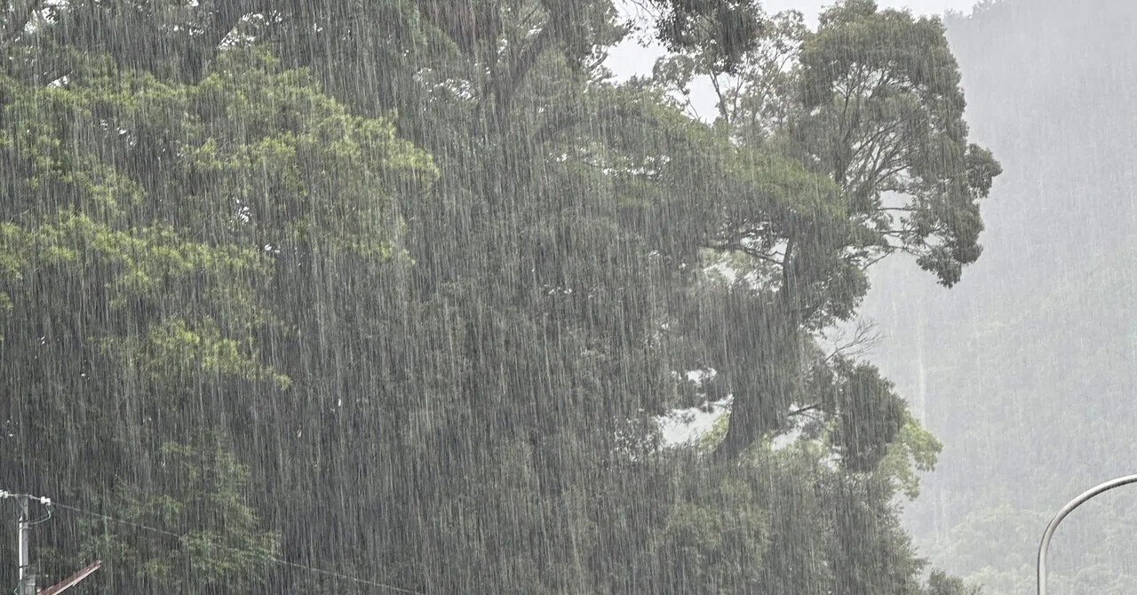 今夏は雨が降らない？！去夏の台風被害経験談｜CoYou