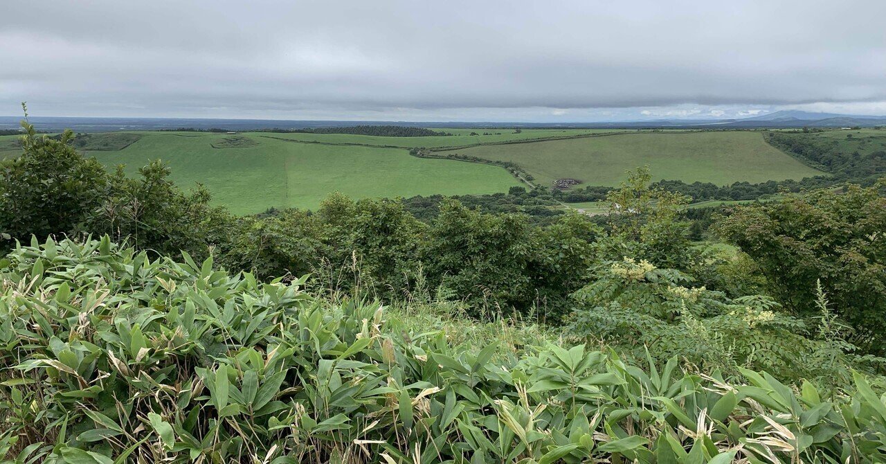 見せかけの和、実は心の中で相手に不寛容な日本人｜Kenichi Aichi