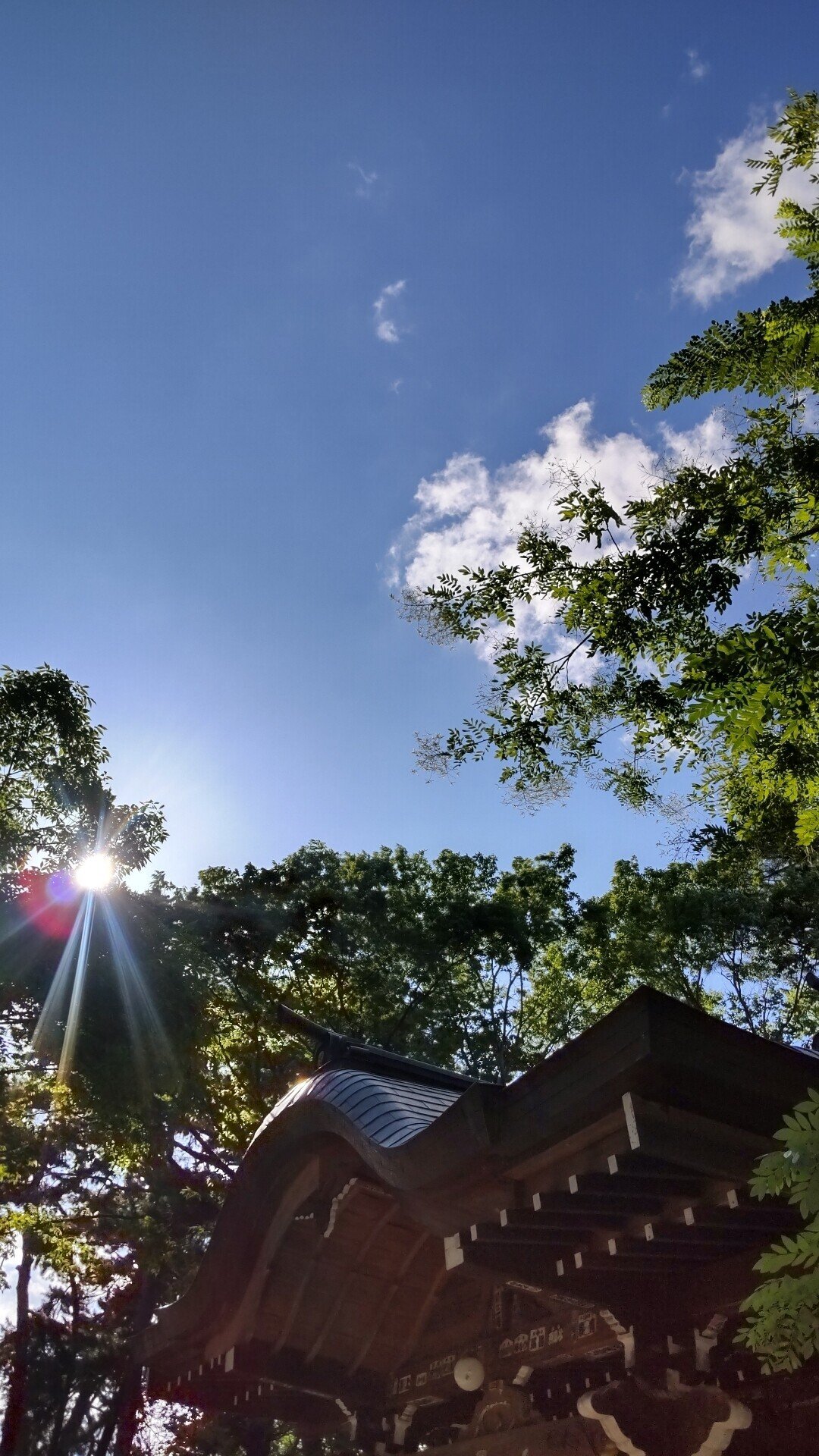 夏の参拝｜mojira