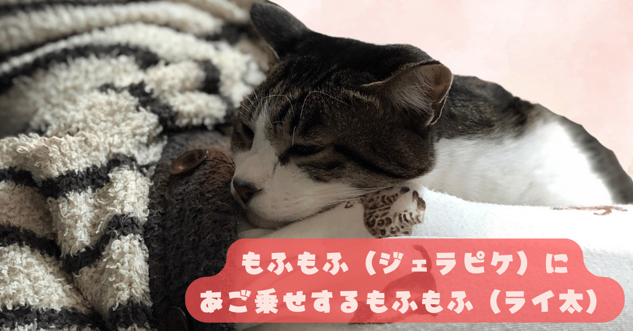 ライ太一周忌よもやま話｜がーすー＠産業医・産業衛生学博士