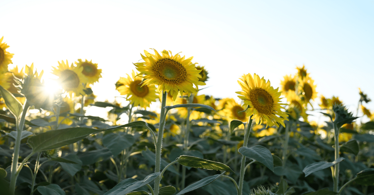 Gekolinux hdd install no1｜blue06_2022