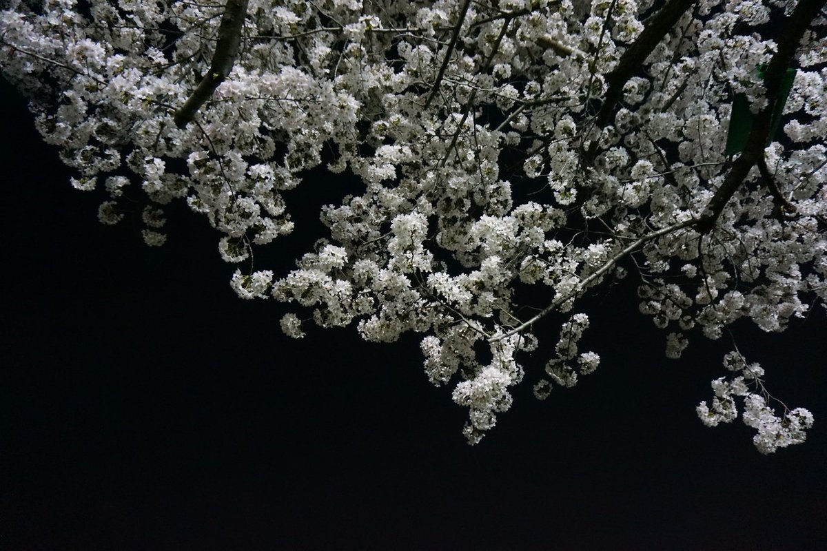 「#NEX」の人気タグ記事一覧｜note ――つくる、つながる、とどける。