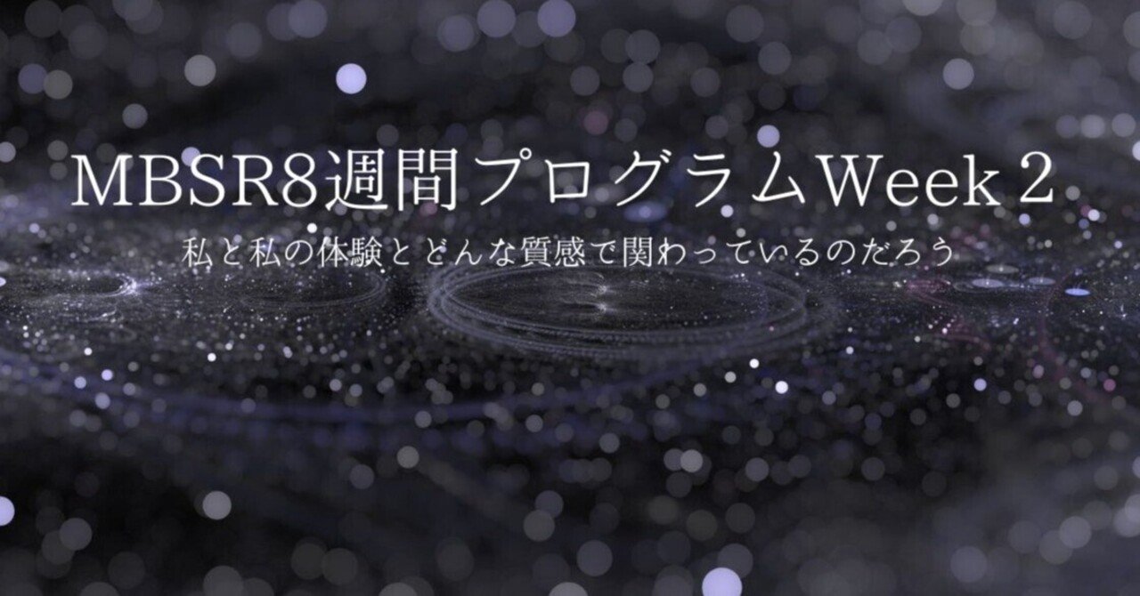MBSR8週間プログラムWeek2 私と私の体験とどんな質感で関わっているのだろう｜菩提樹の広場