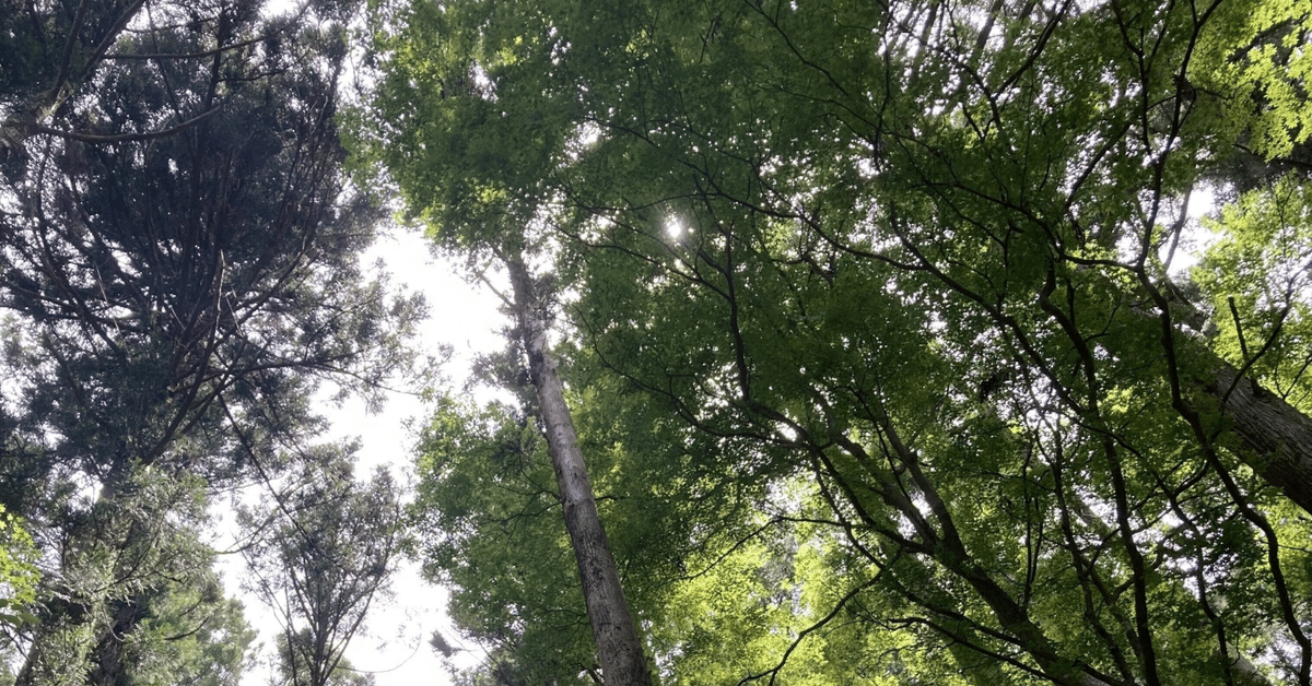 重曹クエン酸水やってみた｜stim_coffee_自家焙煎/コーヒー豆/ネットショップ