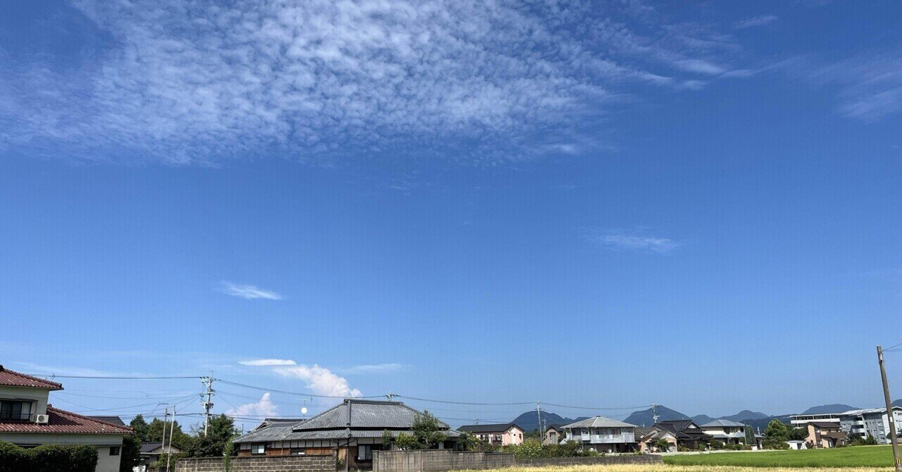 中国人に誘われて出たオンライン大会の自戦記｜Terada