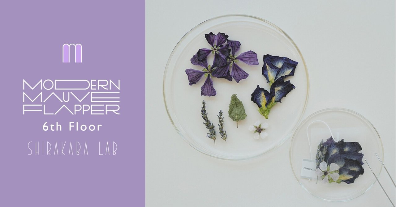 Shirakaba lab｜ご挨拶｜｜MODERN MAUVE FLAPPER｜モダン・モーヴ・フラッパー