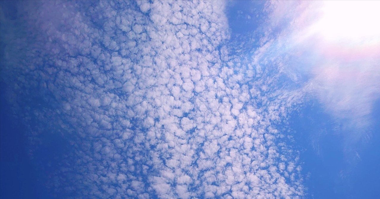 提供中menu｜blessing_ray