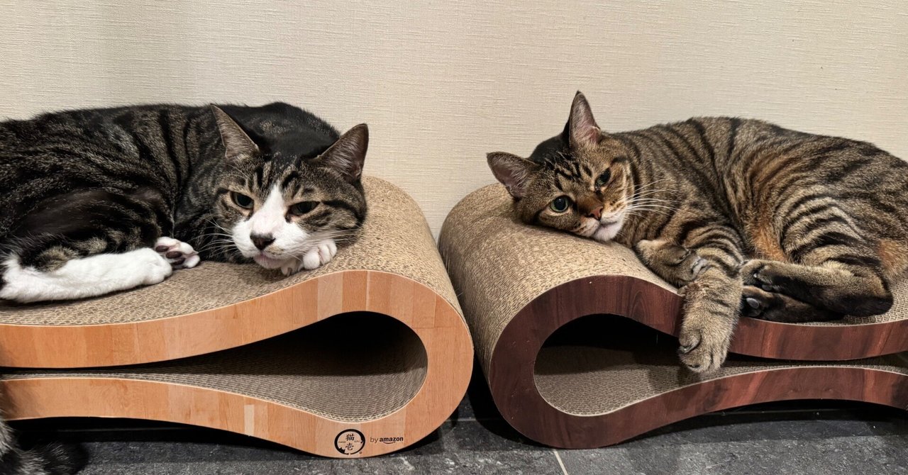 動画の販売応急処置｜美波あいり👩🏻‍🍼MinamiAiri