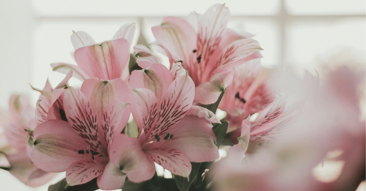 2周年を迎えました｜teaspooon｜Web・EC・HP・SNS等のご提案から解決まで身近なパートナーとしてサポート