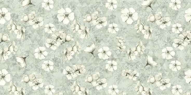 𝑃ℎ𝑦𝑙𝑙𝑖𝑠｜note