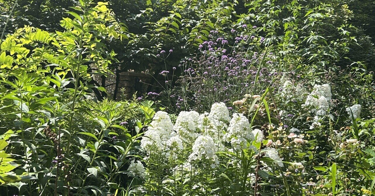 アニマルコミュニケーション｜Hakuto Eiko