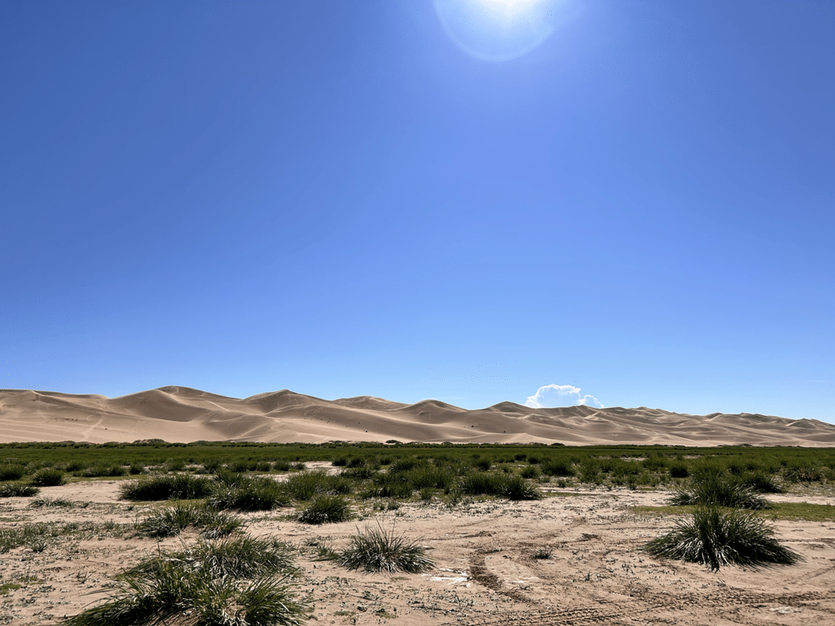 【旅行記】VIVANT聖地巡礼inモンゴル 2日目｜mallowska