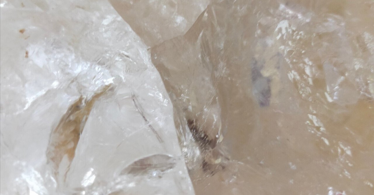 クランベリーcoco｜note