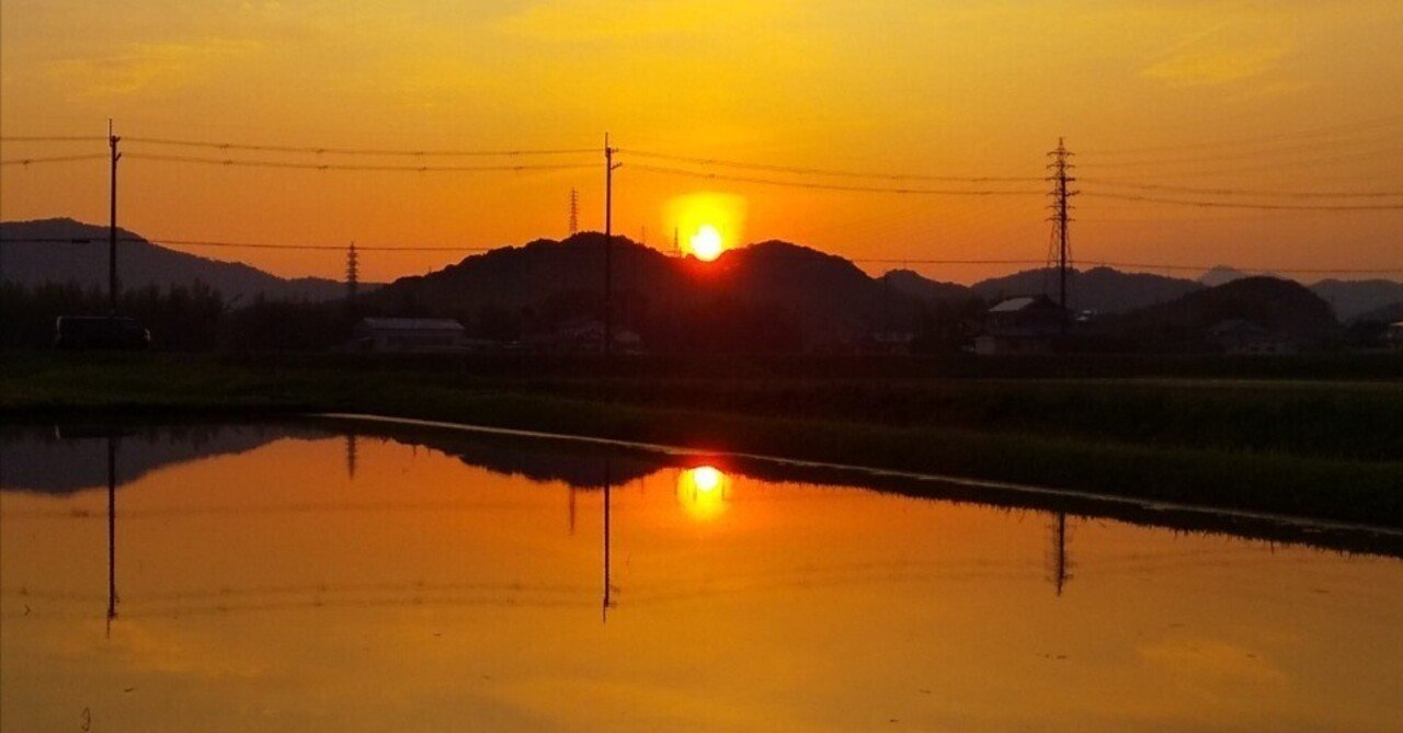 オレンジ｜deepblue