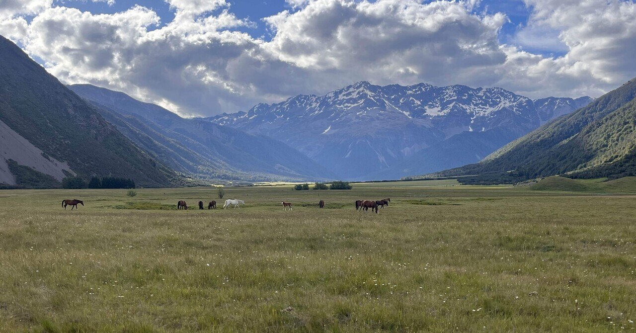 Te Araroa Day 19 #Anne Hut｜mt_nekoze