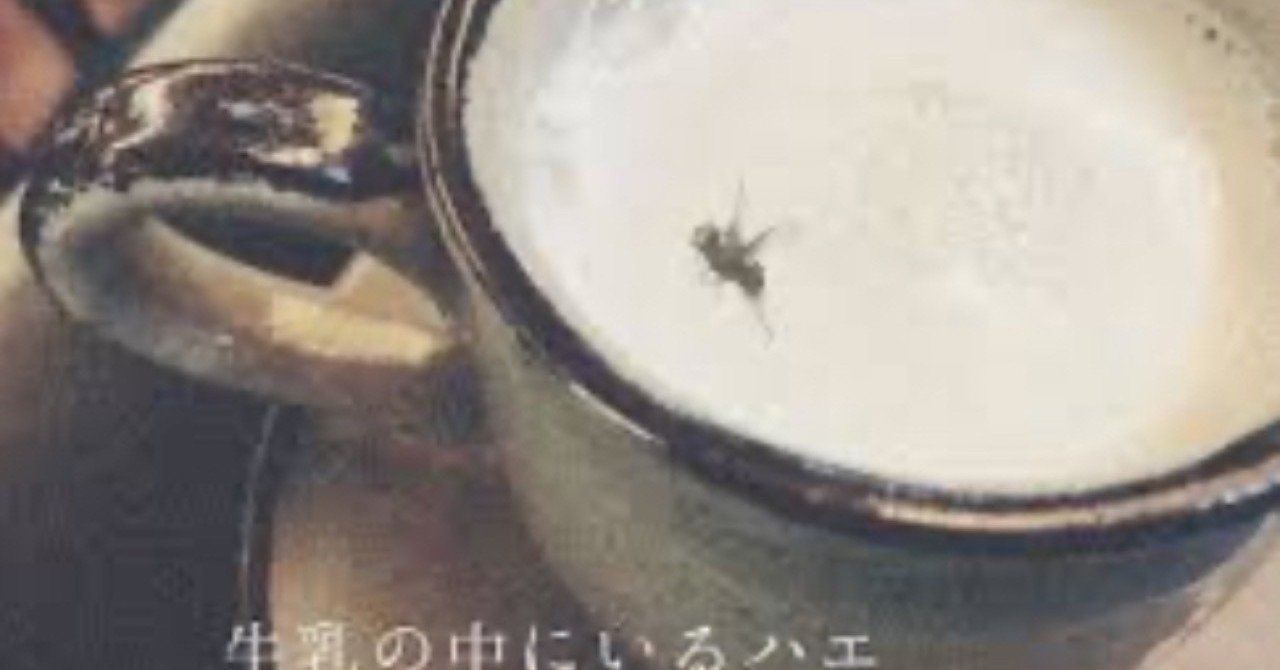 牛乳の中にいるハエ｜Jun Strummer (ジュンストラマー)｜note