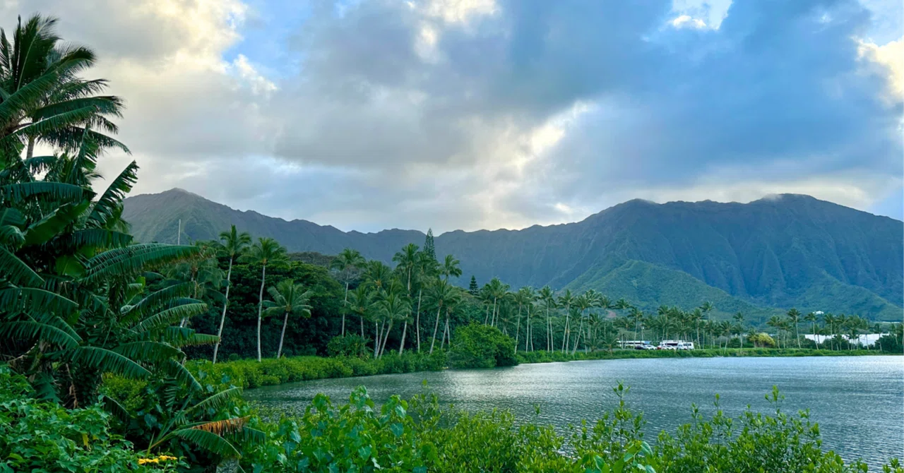【ハワイ オアフ島】HULA GARDEN at Kahalu'u Pondで過ごす特別なディナータイム｜UAM! HAWAII