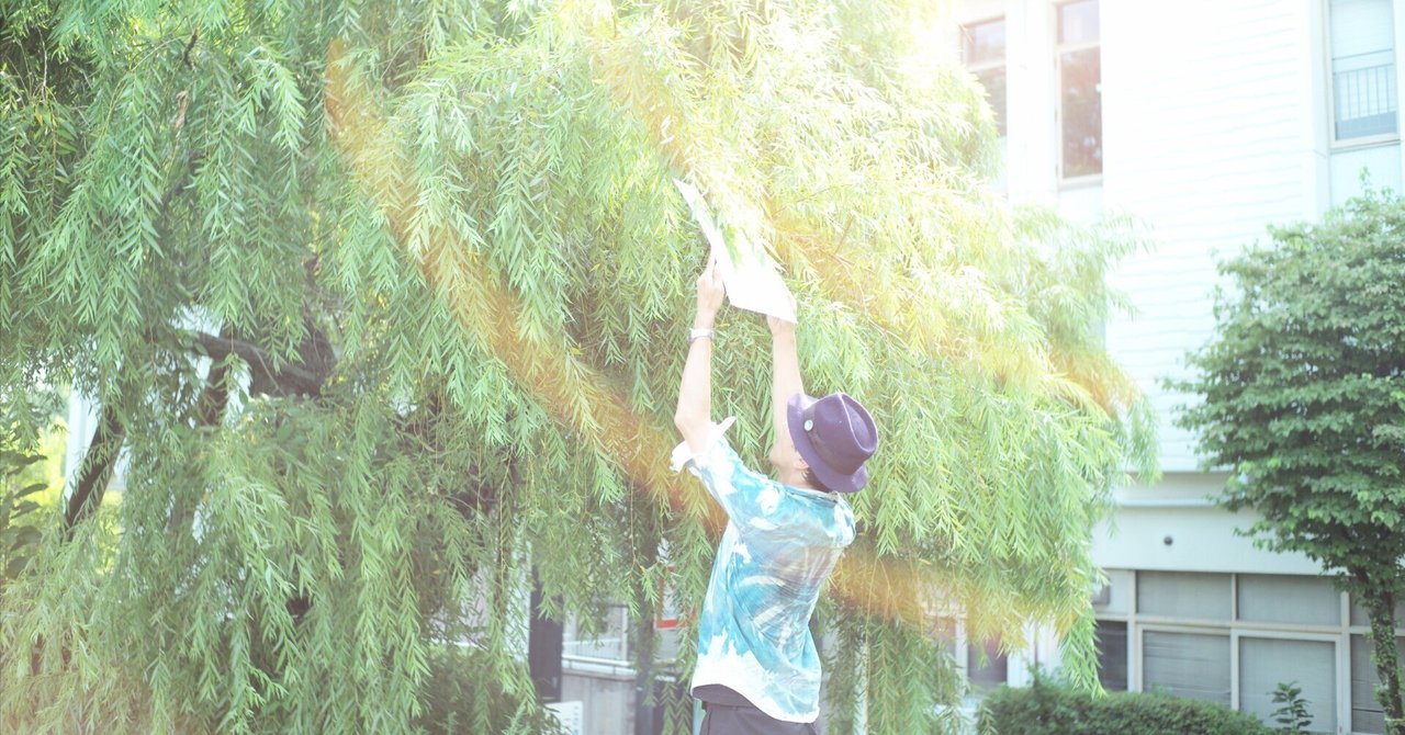 【Text 2024】13年間の「被爆樹木」との対話、「感謝」のはなし｜Shunya.Asami NOTE