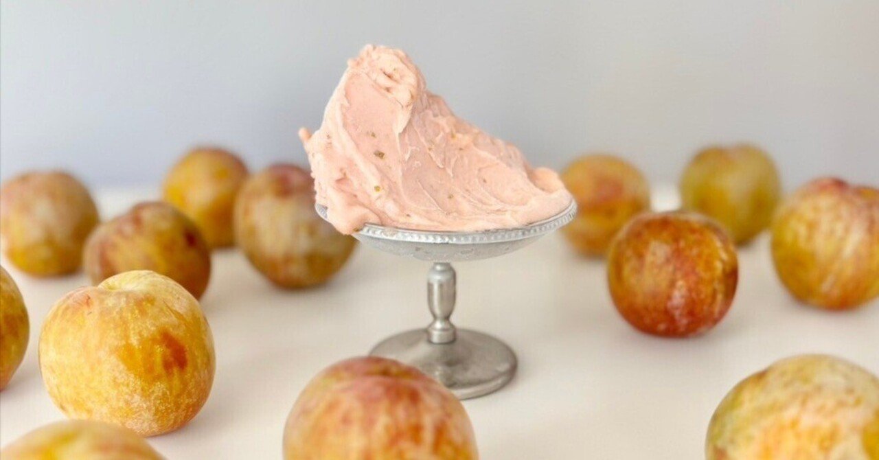 ソルダムのソルベ｜OtsukaYosuke 大塚陽介