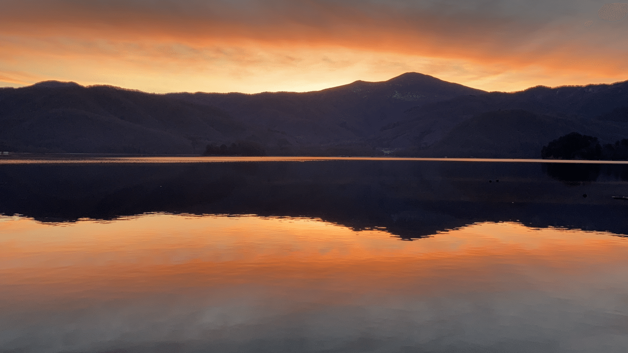 夏は、稀にオレンジにもなるよ｜M-hagaaa