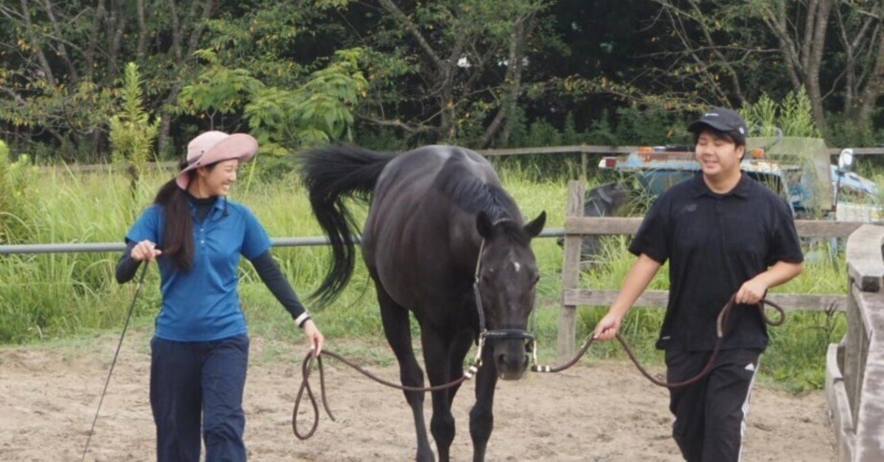 総合的学習の場として｜AKIO WADA（競馬夜話）