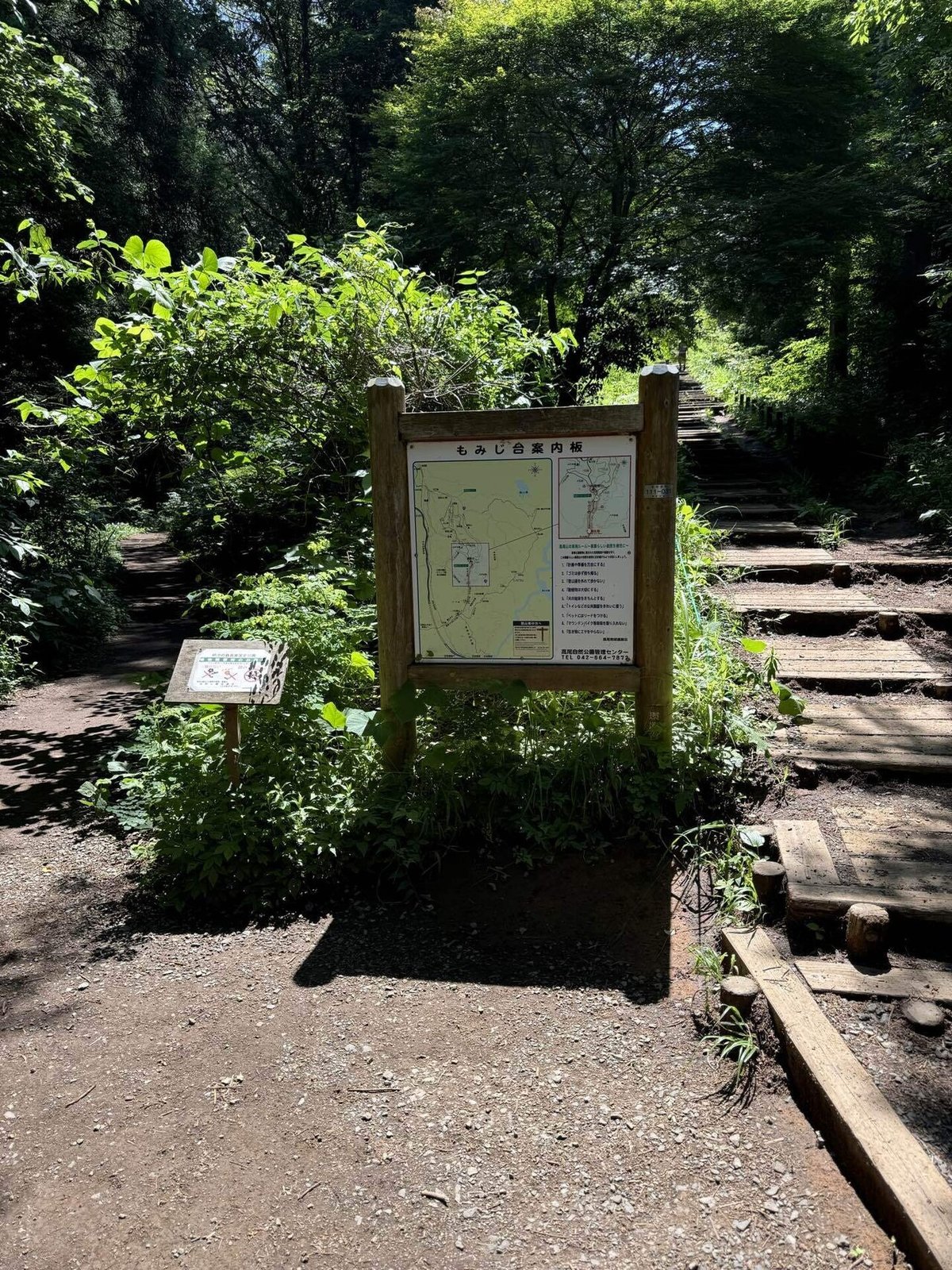 高尾山を登る2024④｜y hidetoshi