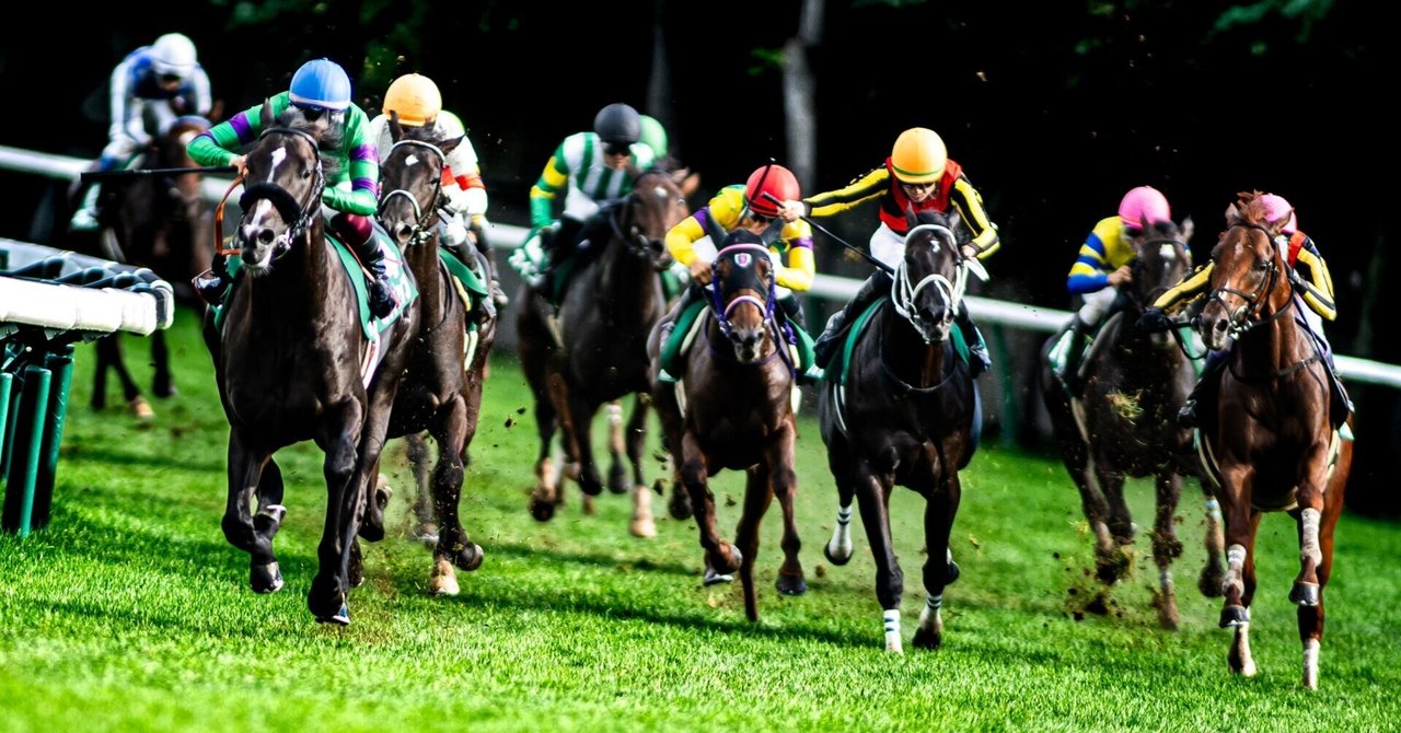 【2024 札幌2歳S（G3）】日刊馬番コンピ指数分析予想篇｜Haya