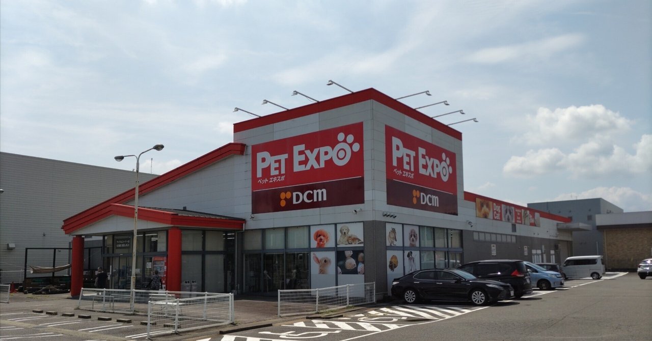 3050 DCMホールディングス 修行中｜まろんKaniKabu会