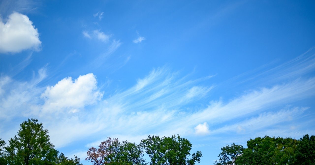 自己紹介|はじめてのnote｜shohei.N | DoriNuts photo log