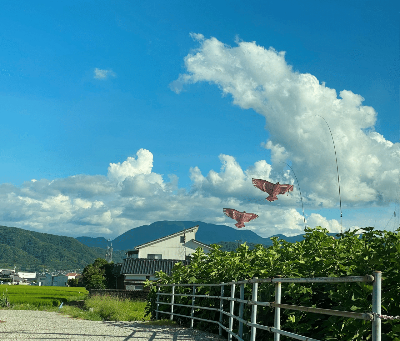8月の下旬だというのに、真夏感が凄いです💦 (今日の小説更新しました💦 文学フリマ大阪までがんばれ！ https://ncode.syosetu.com/n7653jh/)｜23（PepperBox）