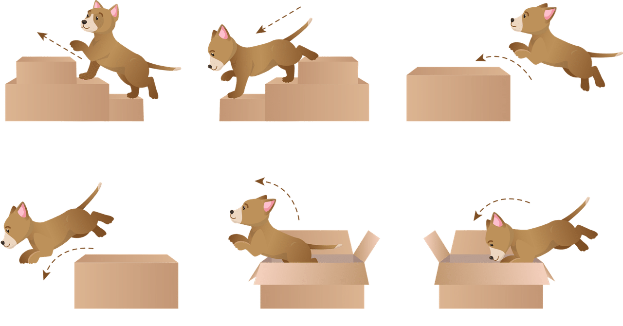 非プログラマのRen'Pyノート：俺たちのアニメーション集｜みやこ出版｜個人ゲーム開発