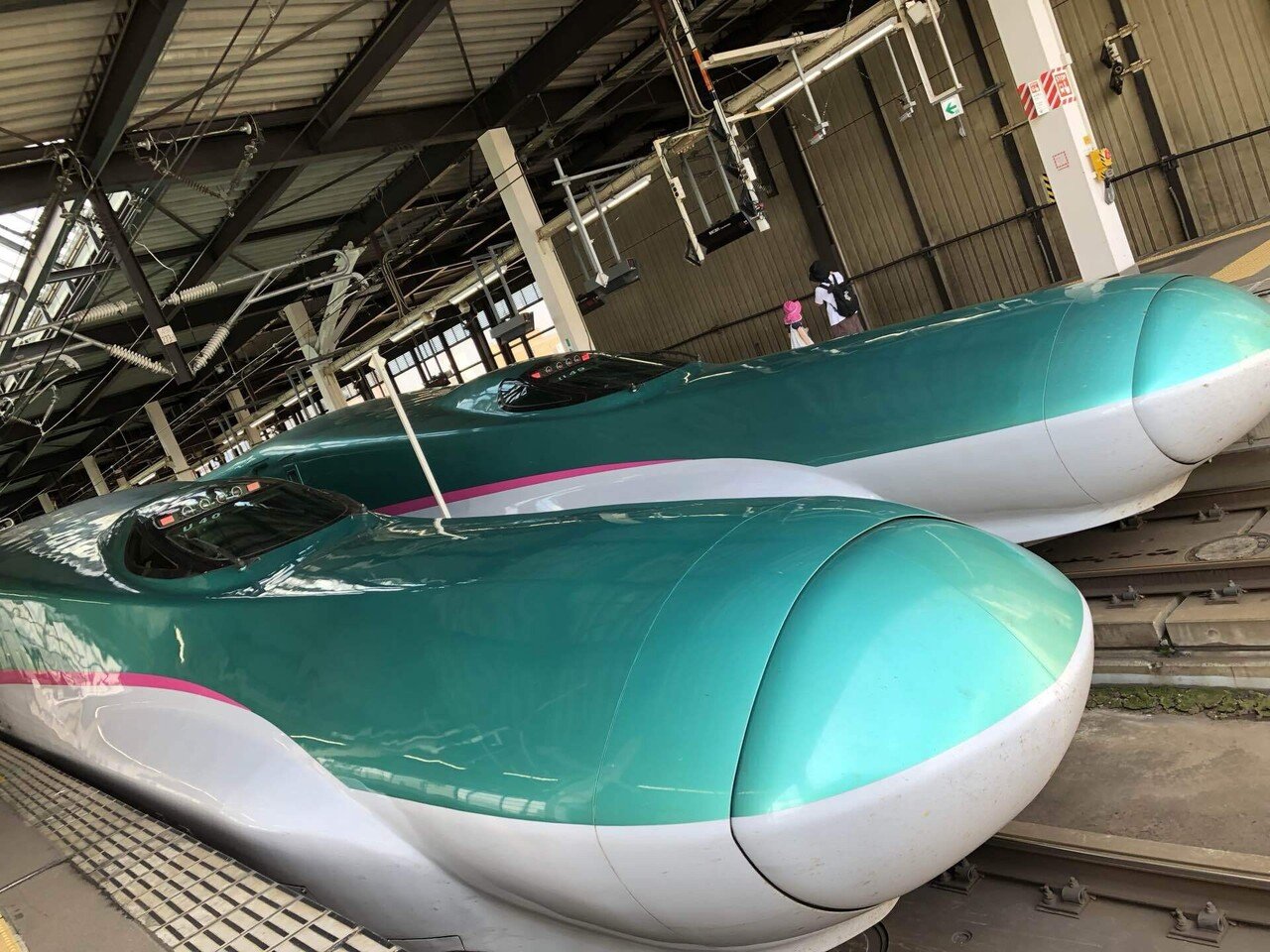 mimoza 手作りキャンピングカー 旅と畑｜note