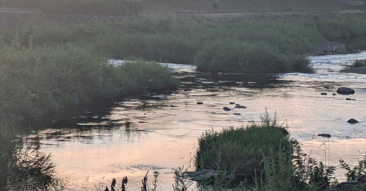 第3巻344番〜作者 大伴旅人｜ichiro70