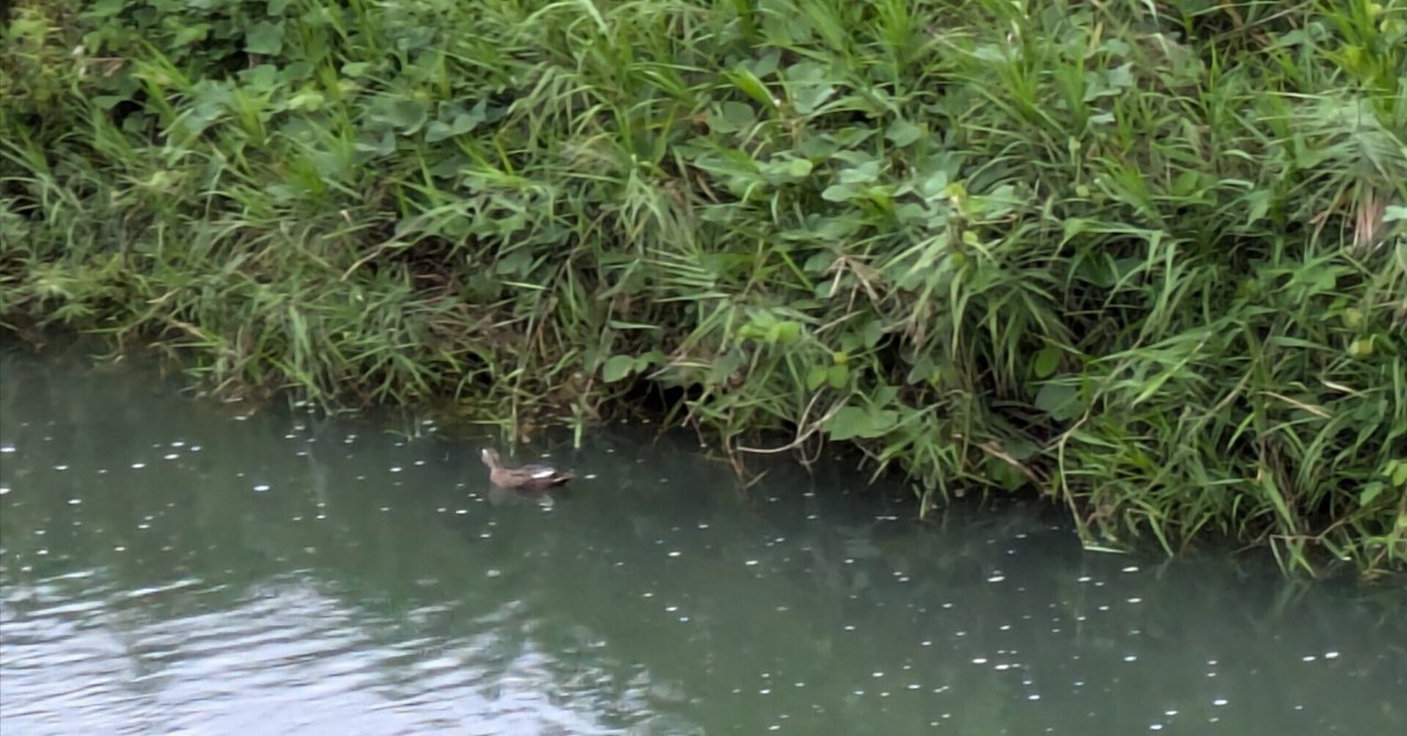 第3巻345番〜作者 大伴旅人｜ichiro70