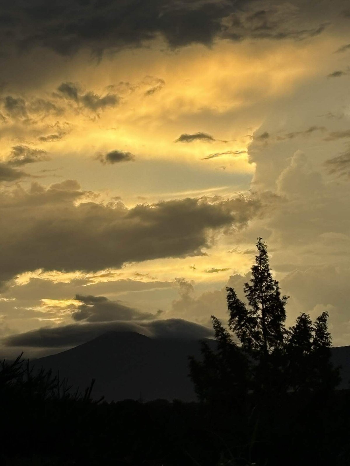 自然の芸術｜junjun