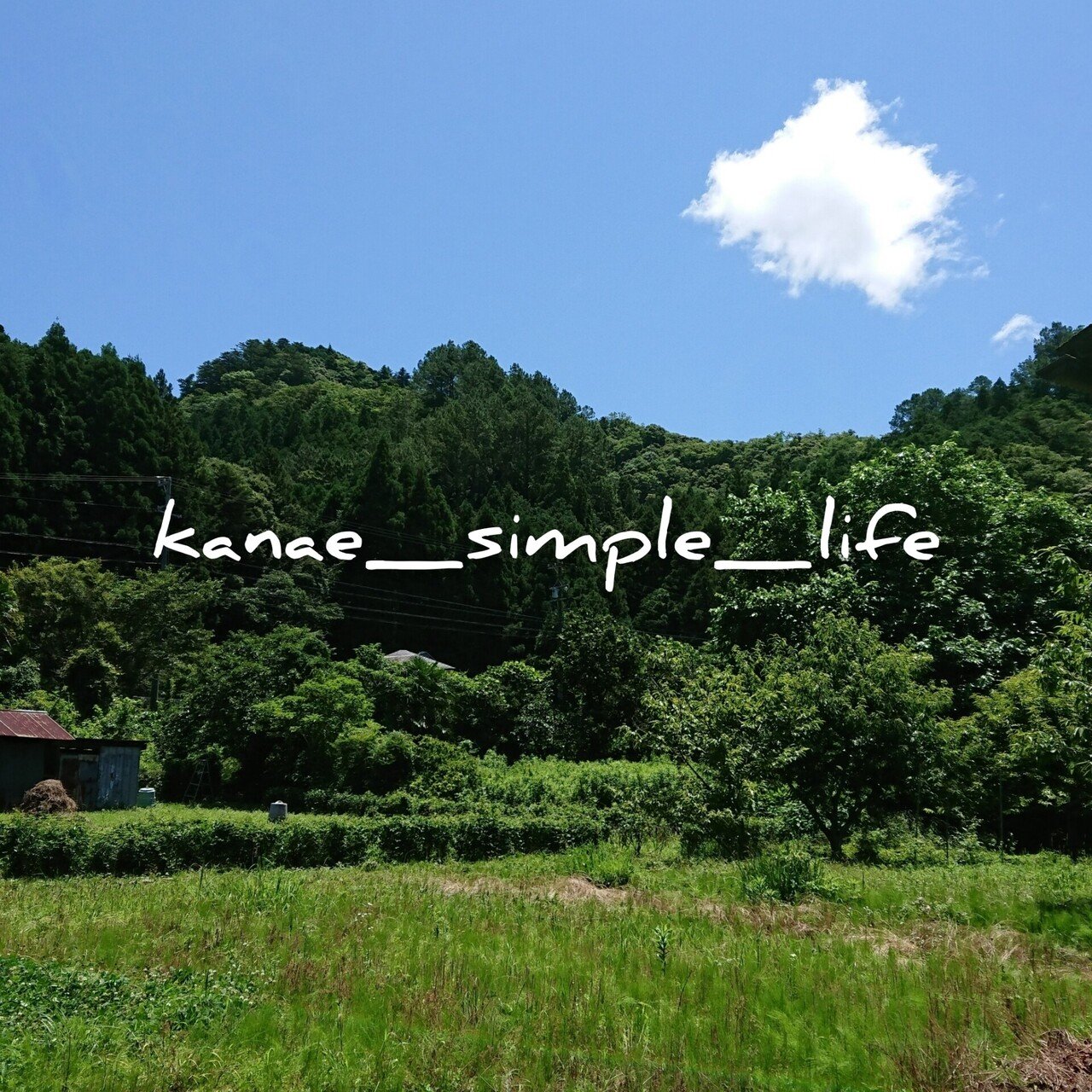 雷⚡すごくて窓がガタガタ揺れるんだが。⚡ 地響き（？）がすごい⚡｜kanae_simple_life