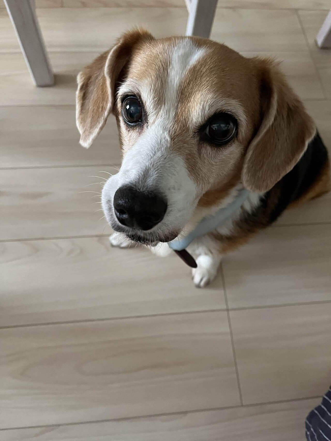 2つのマガジンに記事を追加していただきました 「匠の言葉たち: トラガラの私設note図書館」 https://note.com/karasu_toragara/m/m6954b5b13908 ...