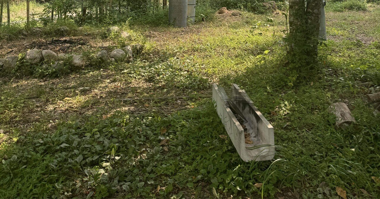 謝らない練習｜けいちゃん（Keiko Ishii）