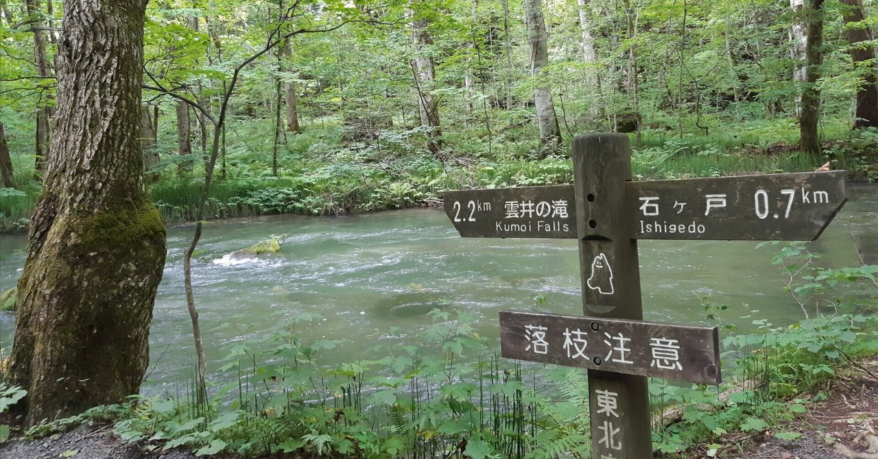 自分に正直に生きる｜虹の彼方から Bright day EIKO