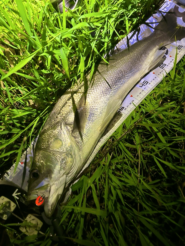 【ブログ】ハンドメイド備忘録vol.2【24.8.26】｜Locus Solus