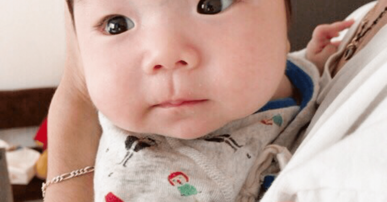 マウント｜Yusuke Iwase