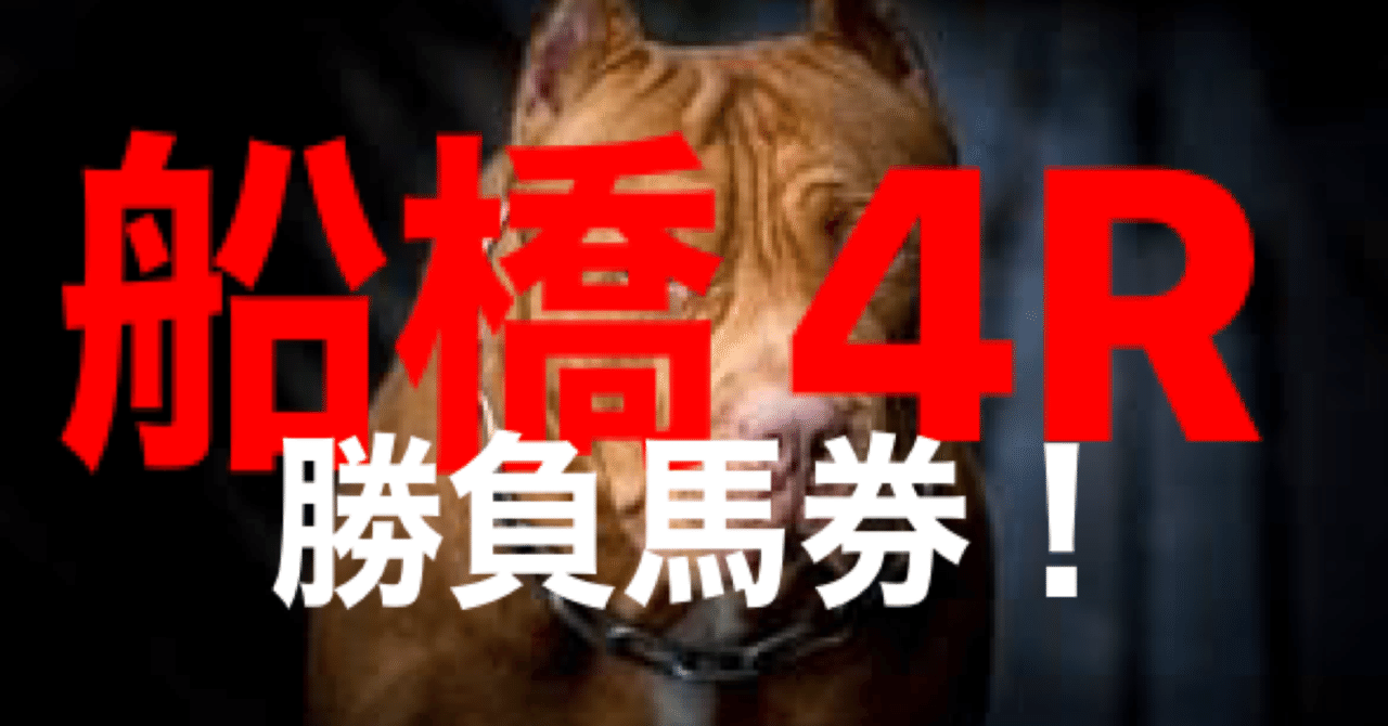 船橋4R勝負馬券！｜パドック師匠【PD master】公式🌐