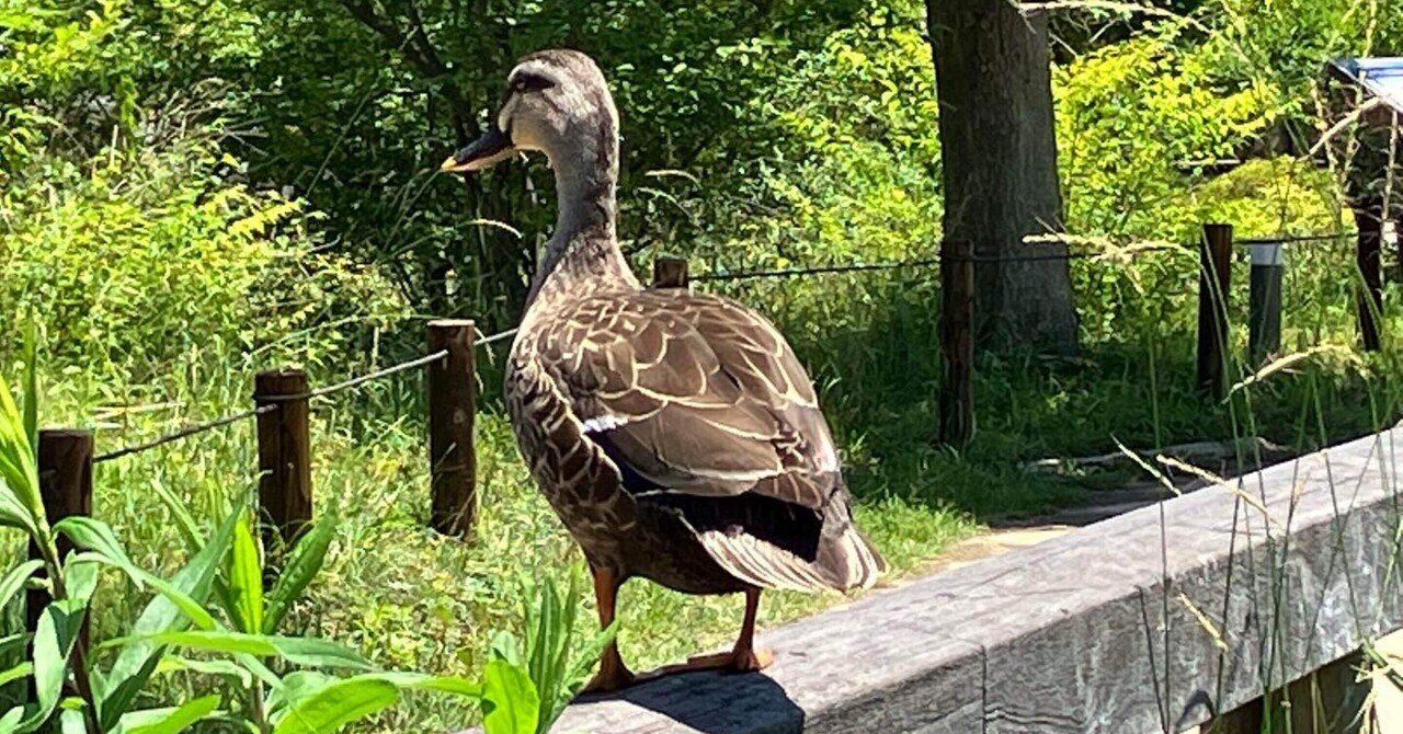 ファシリテーションに自信を持つために｜Fumito SATO